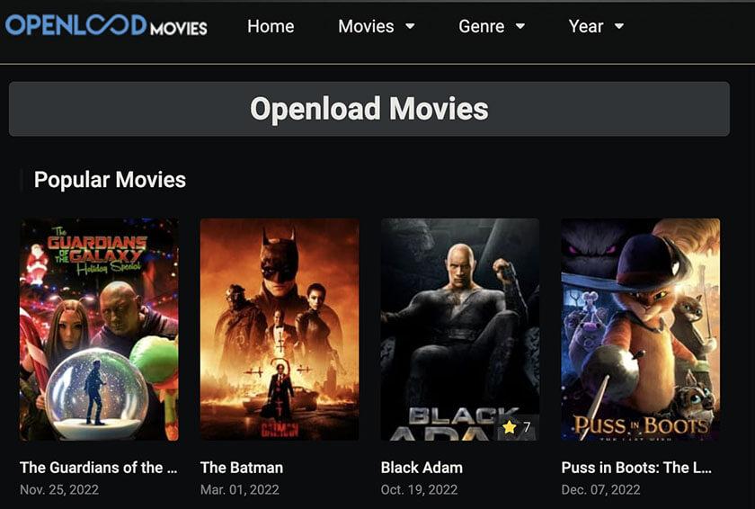 10 Best OpenLoad Movie Alternatives in 2024